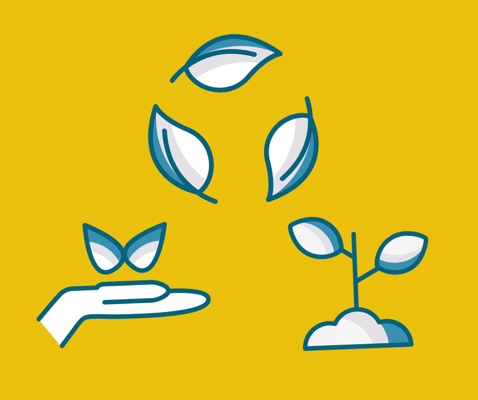 The Three Dimensions of Effective Management - The Management Center